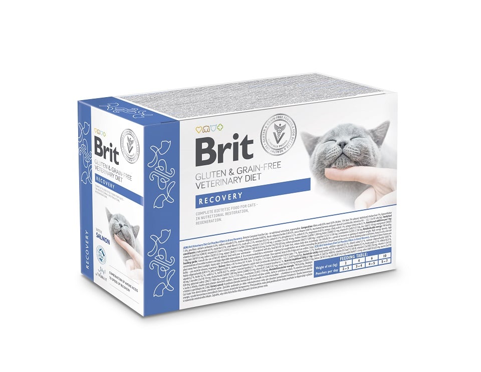 BRIT Veterinary Diet Grain Free Recovery Cat Fillets in Gravy Salmon ...